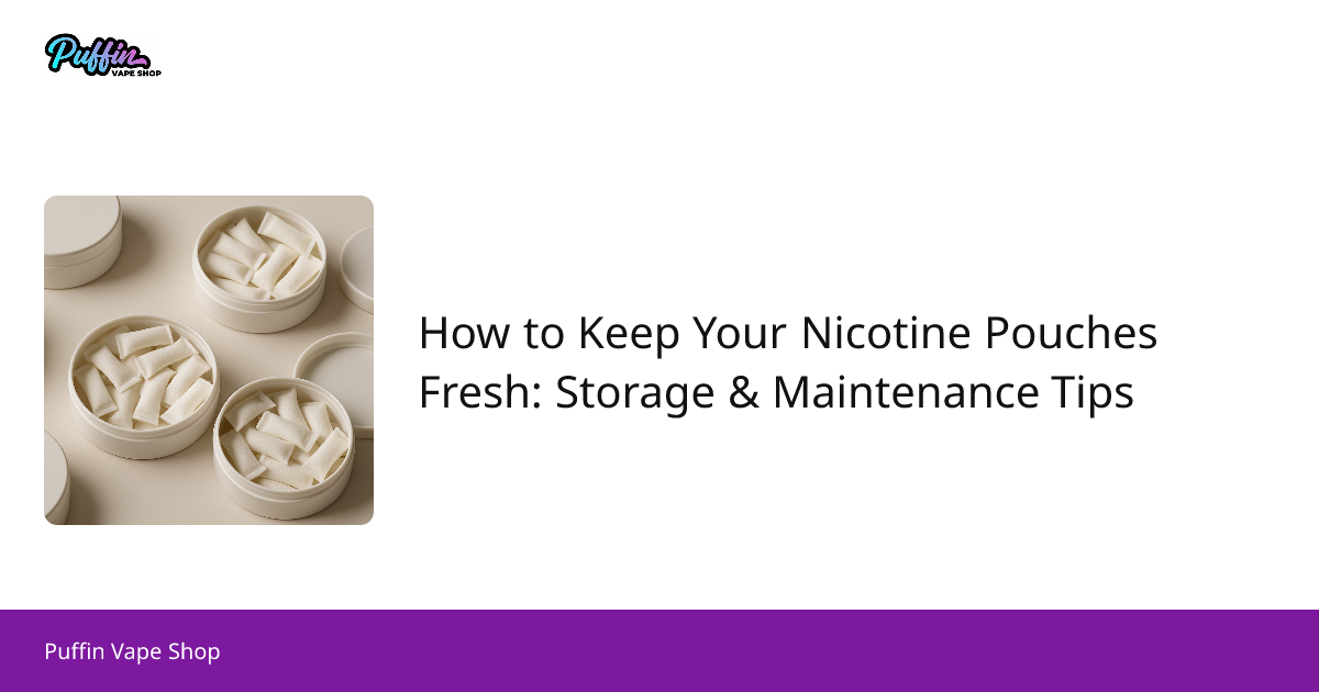 Nicotine Pouch Storage & Care: Keep Pouches Fresh Longer | 2025 Tips